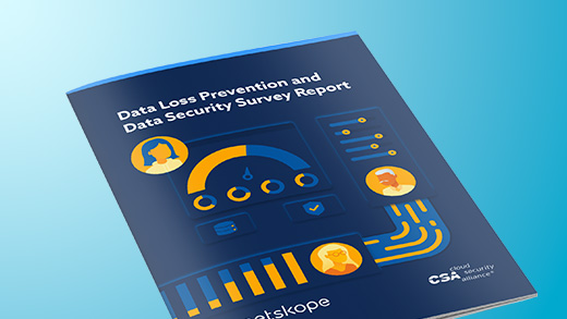 Umfrage zur Verhinderung von Datenverlust und Datensicherheit – Netskope