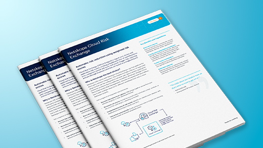 Netskope Cloud Risk Exchange - Netskope
