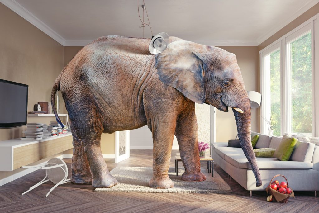 The Elephant in the Room. Lessons (we should have already learned) from ...