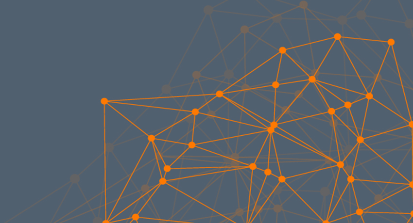 Channeling our Commitment to Our Customers - Netskope