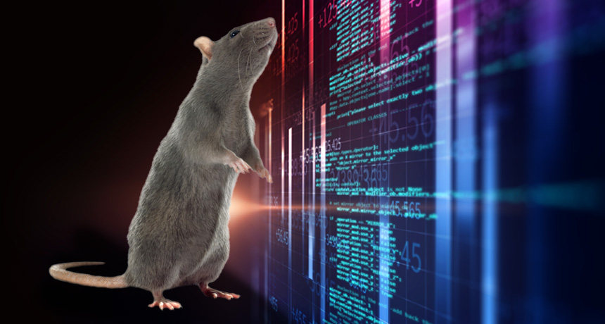 Git Your RATs Here! - Netskope