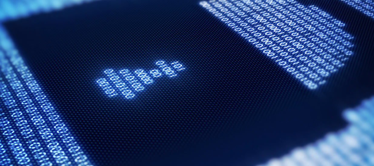 Planning for a DLP policy - Netskope