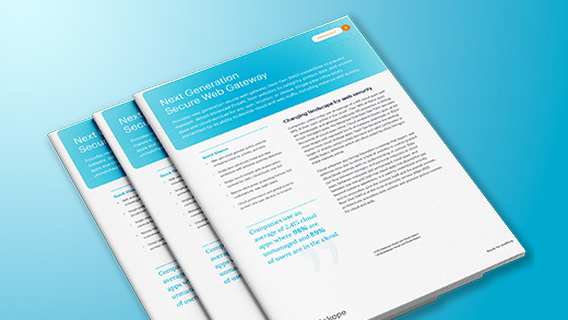 Next Generation Secure Web Gateway Swg Netskope