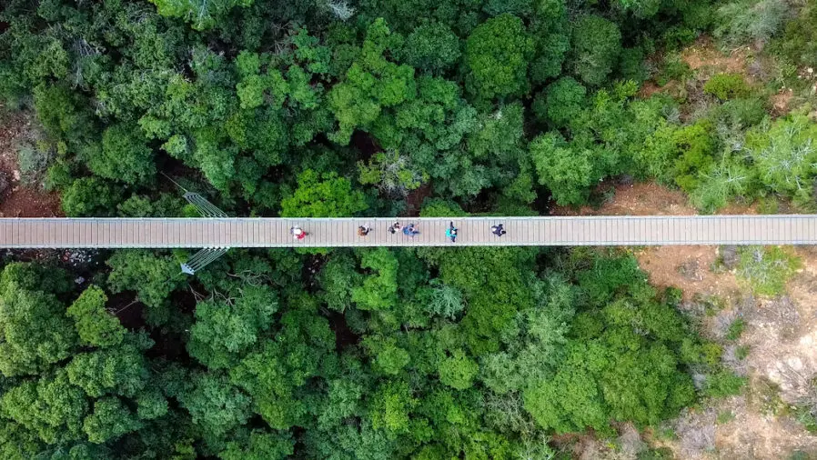 What is a Next Generation Secure Web Gateway (SWG)? - Netskope